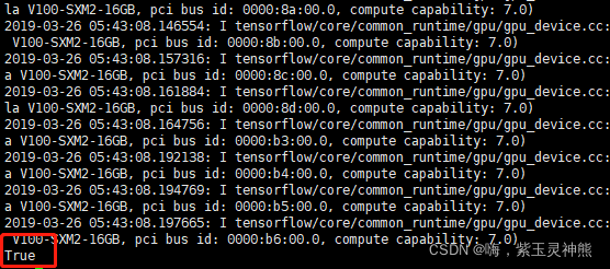 Linux服务器成功安装TensorFlow-GPU并成功调用GPU_linux配置tensorflow,gpu-CSDN博客