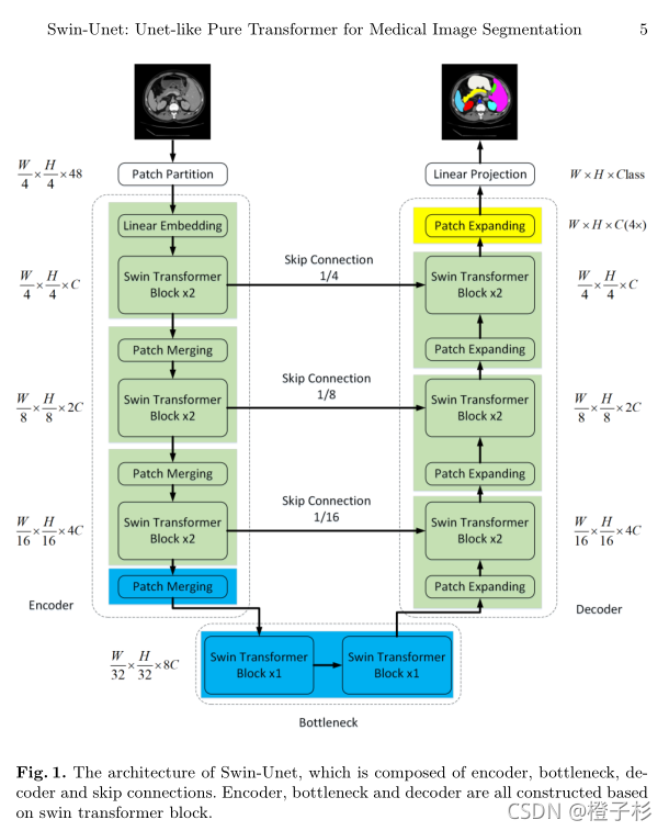 Swin-Unet阅读笔记_swinunet代码加入评价指标-CSDN博客