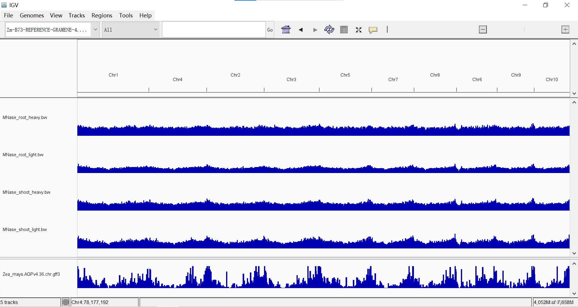 使用IGV软件可视化染色质可及性_igv可视化使用详细介绍-CSDN博客