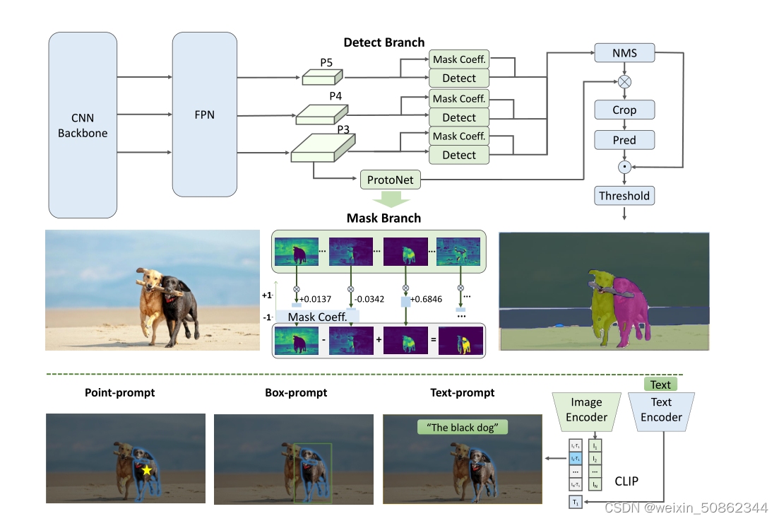 【论文笔记】Fast Segment Anything-CSDN博客
