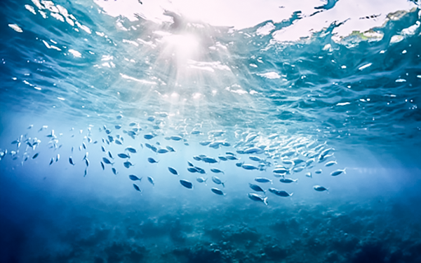 2024，eDNA研究新亮点→数据库定制服务_edna技术最新研究进展-CSDN博客