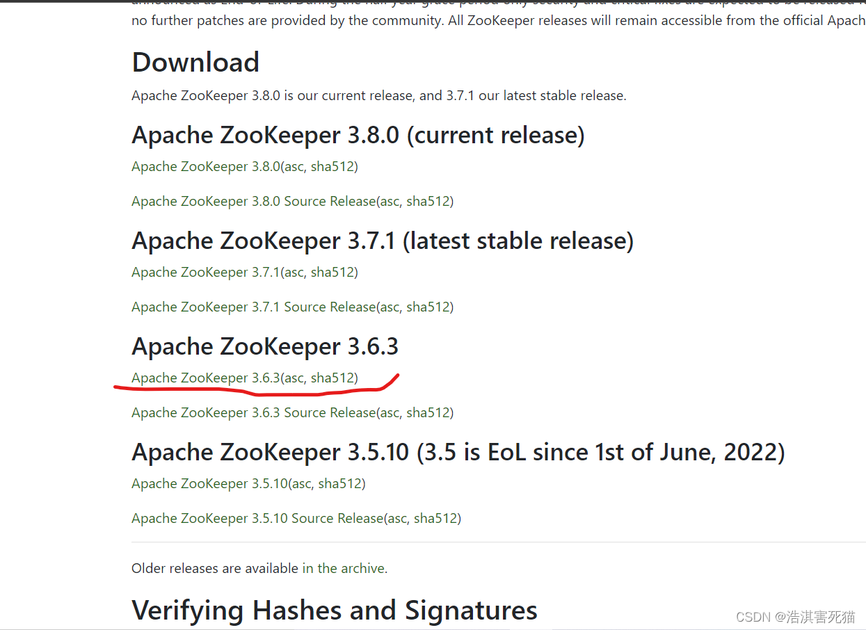 zookeeper伪分布式配置（云服务器配置）-CSDN博客