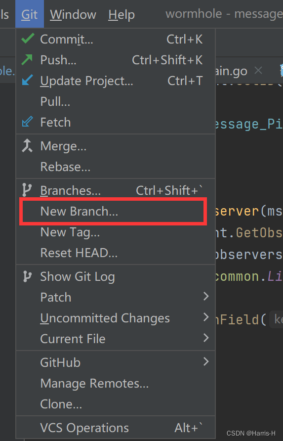 Goland——git使用新branch commit and pull_goland如何拉取项目-CSDN博客