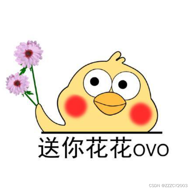 ICMP协议详解及尝试用ping和tracert捕抓ICMP报文_tracert icmp-CSDN博客