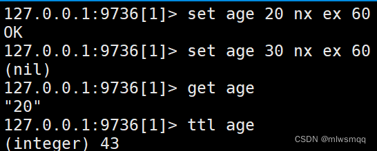 Redis实现分布式锁（SETNX）_redis setnx-CSDN博客