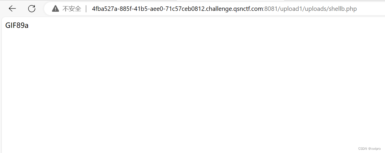 qsnctf-File Upload Challenges （WP）-CSDN博客