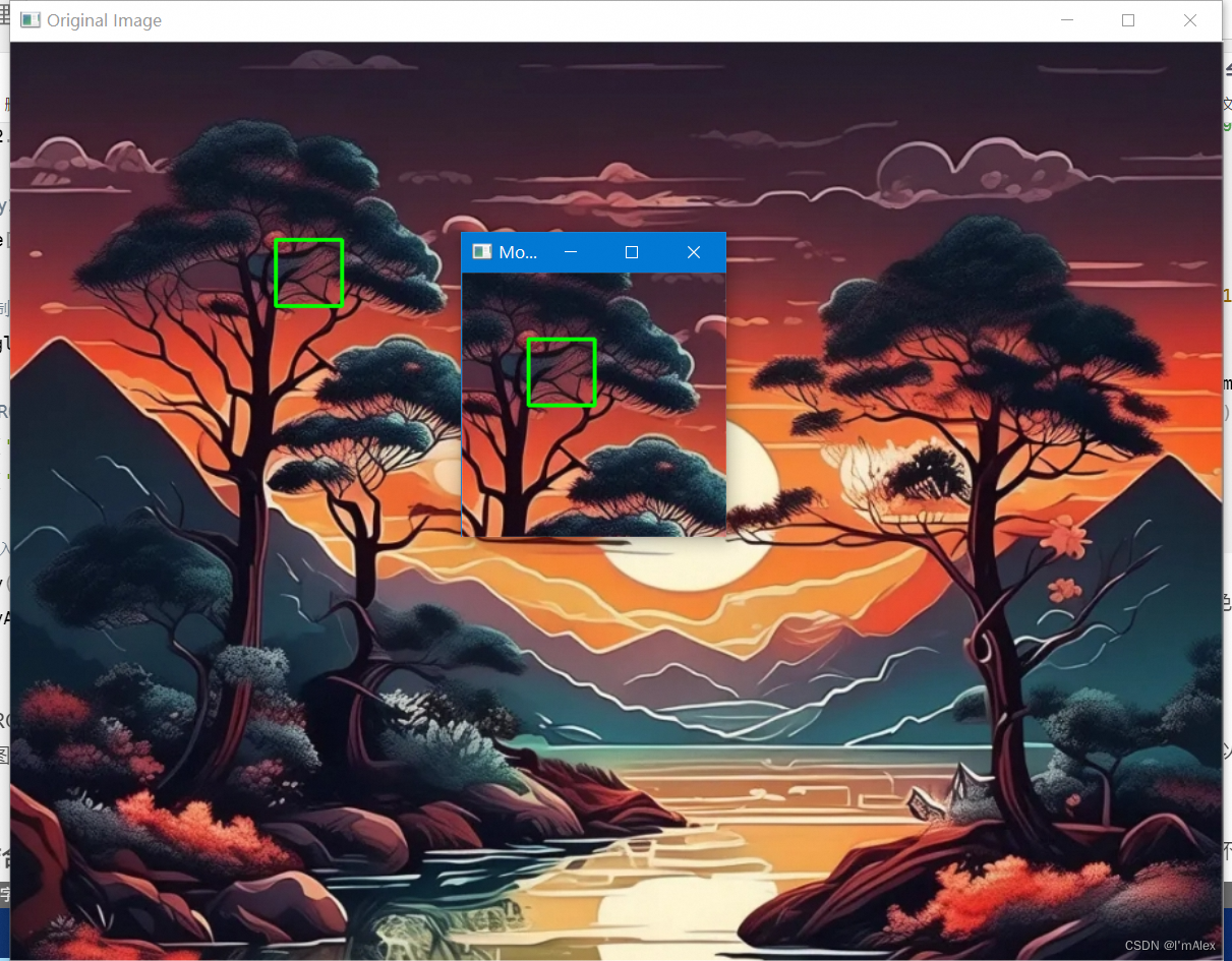 深入探讨OpenCV：调整imshow窗口大小、位置与处理感兴趣区域（ROI）_cv2.imshow-CSDN博客