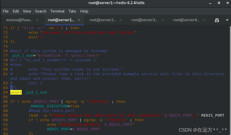Redis服务详解：主从复制与集群搭建-CSDN博客