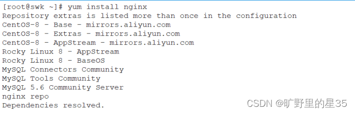 在CentOS 8 上部署Nginx服务_nginx-release-centos-8-0.el8.ngx.noarch.rpm-CSDN博客