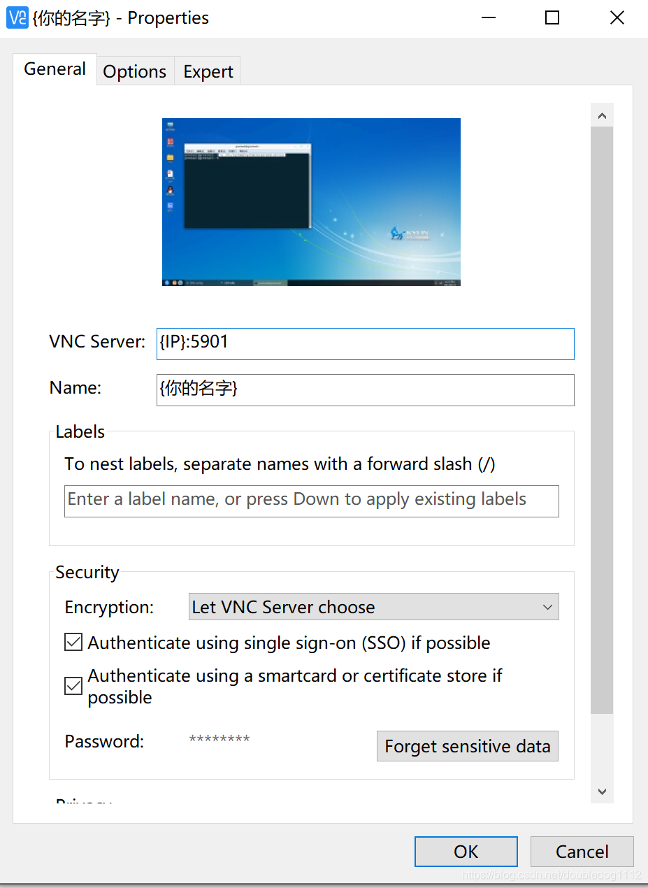 银河麒麟KylinVNC安装_kylin vnc-CSDN博客