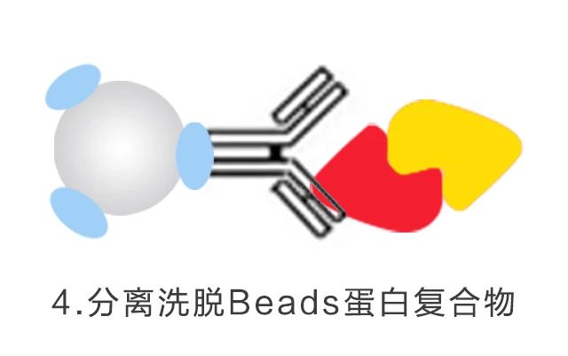 一文读懂CoIP实验：原理、实验流程、遇到的问题-CSDN博客