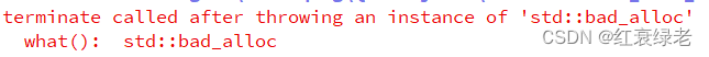 报错解决：terminate called after throwing an instance of ‘std::bad_alloc‘ what():std::bad_alloc-CSDN博客