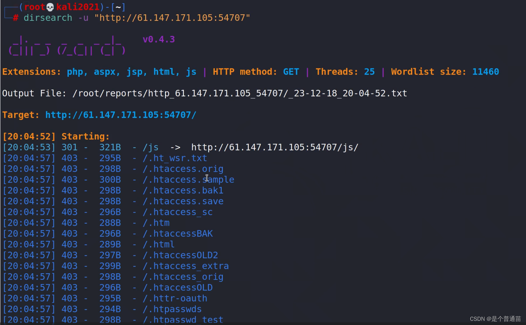 kali安装dirsearch命令模块-CSDN博客