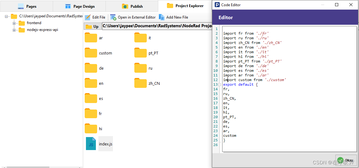 radsystems教程的基本使用之应用区域设置（选择应用语言和页面别名）_radmin怎么设置中文-CSDN博客