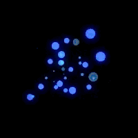 Particles.js 做出各种炫酷粒子动画，动态粒子效果！-CSDN博客