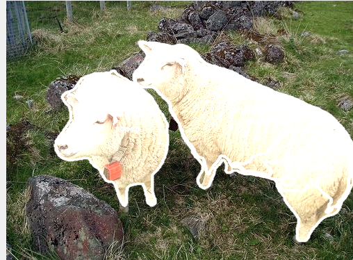 史上最快的实例分割SparseInst Int8量化实录-CSDN博客