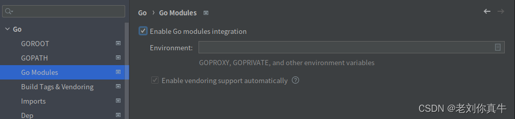 goland 2021.2 配置go( go1.17.6)_goland 设置go版本-CSDN博客