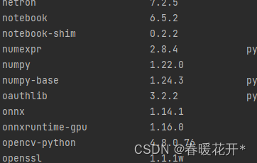 Yolov5 ONNX: export failure: Unsupported ONNX opset version: 13_valueerror: unsupported onnx ...