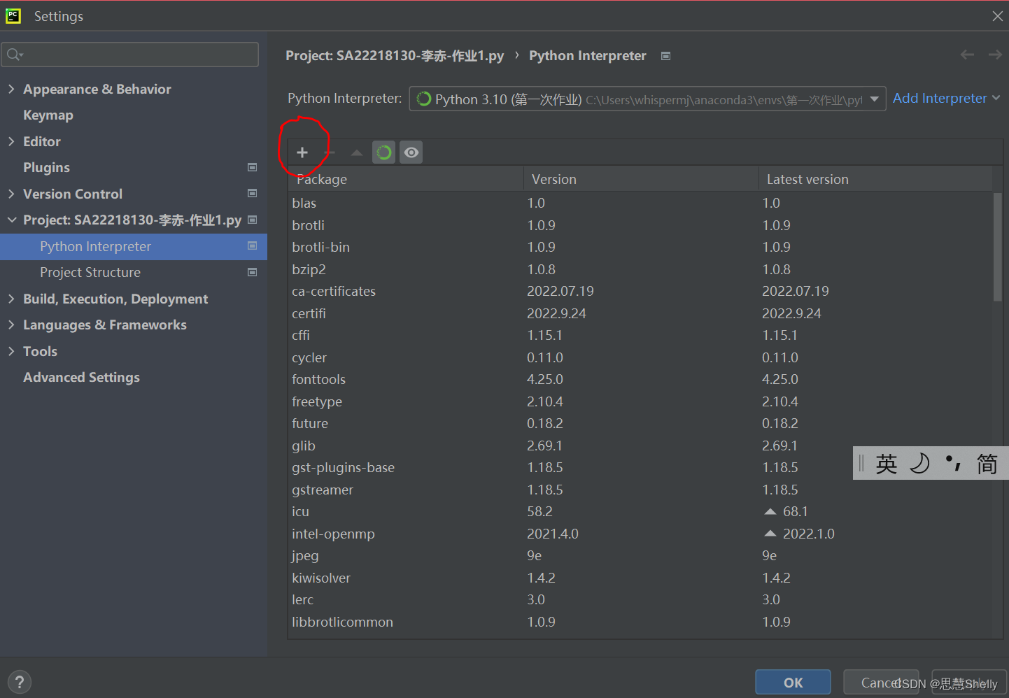 pycharm 导入torch失败解决方案_pycharm导入不了torch-CSDN博客