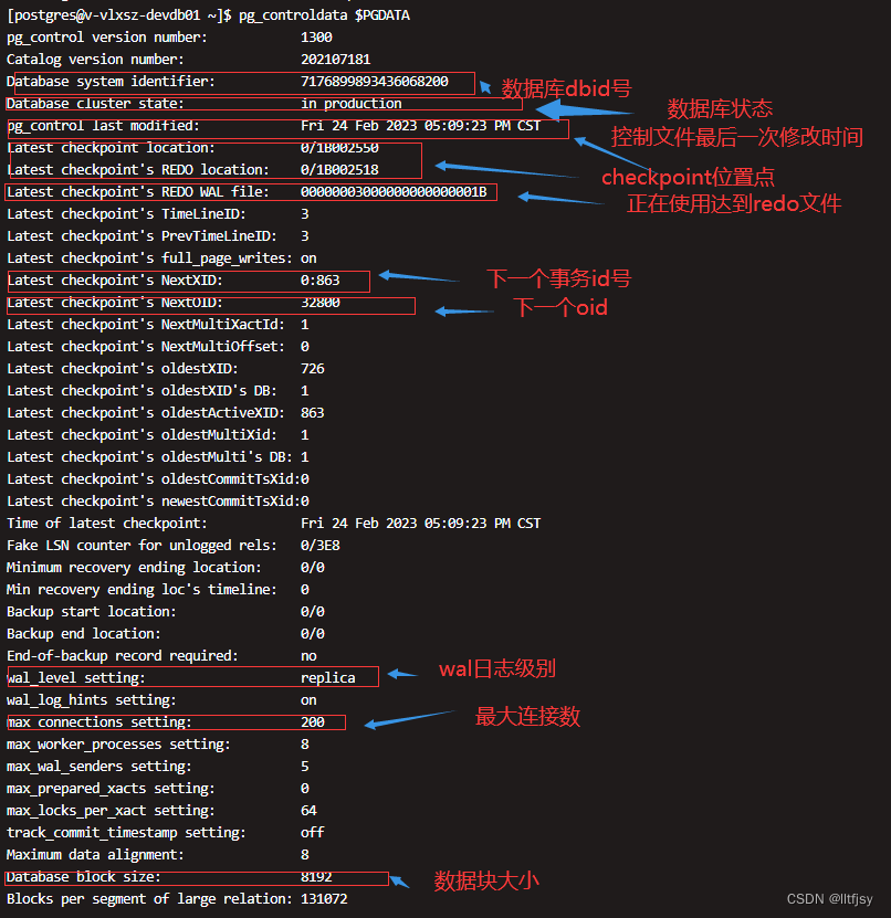 Postgresql文件结构postgresql 数据库文件 Csdn博客