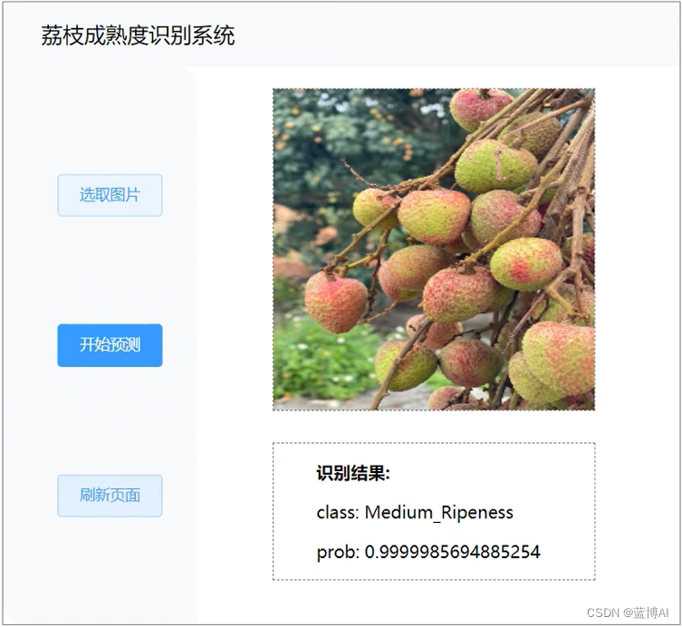 基于卷积神经网络的荔枝成熟度识别，resnet50，vgg16模型（pytorch框架，python代码）荔枝检测的onnx模型 Csdn博客 