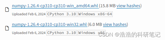 将python库下载到本地安装—Pypi官网wheel版本选择详解—小白详解版_musllinux和manylinux-CSDN博客