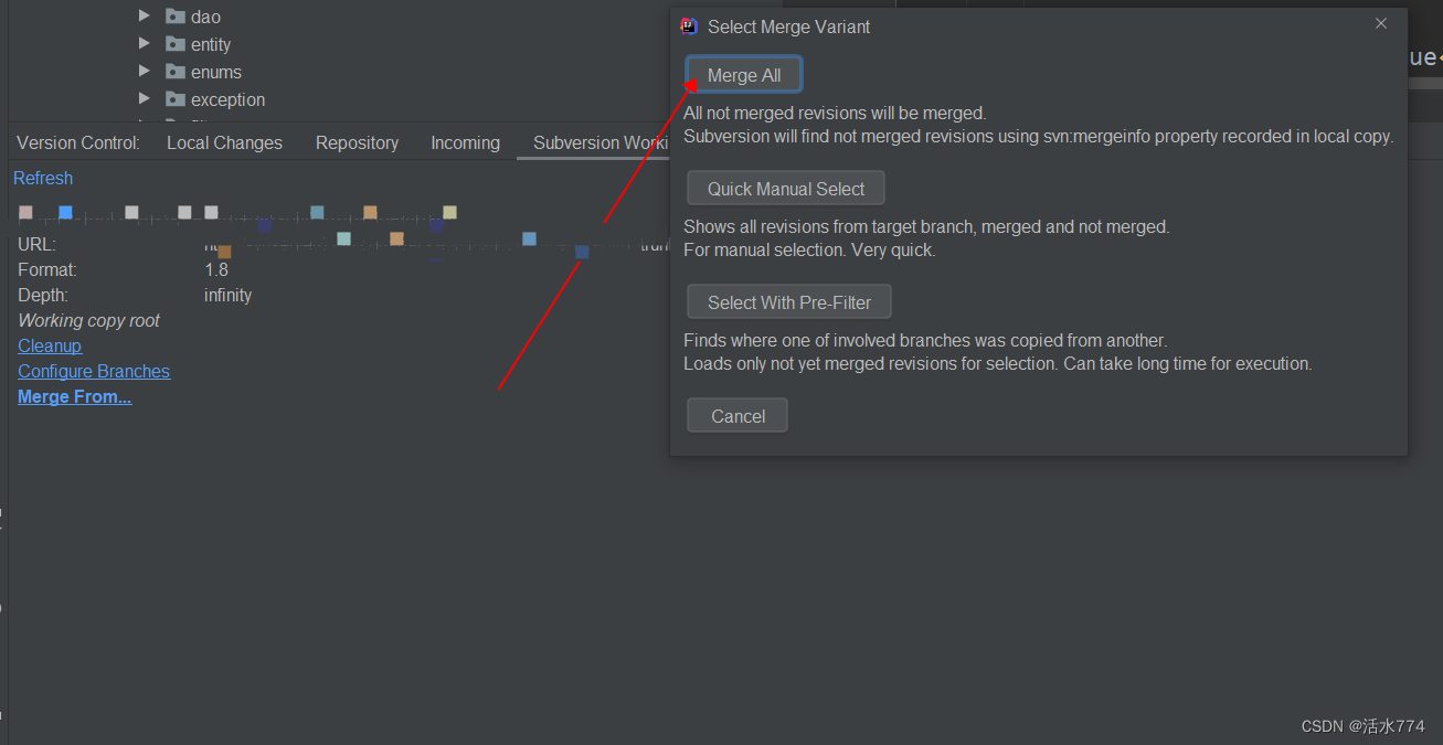 svn 合并分支 idea_idea svn合并分支-CSDN博客