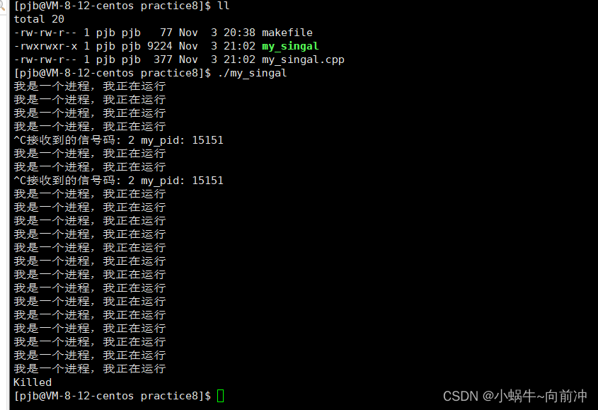 [Linux打怪升级之路]-信号的产生_raise sigint-CSDN博客