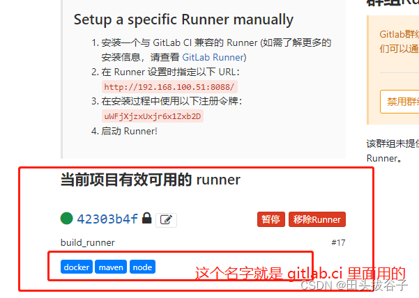 05 docker-gitlab-runner 持续集成CI_enter optional maintenance note for the runner-CSDN博客