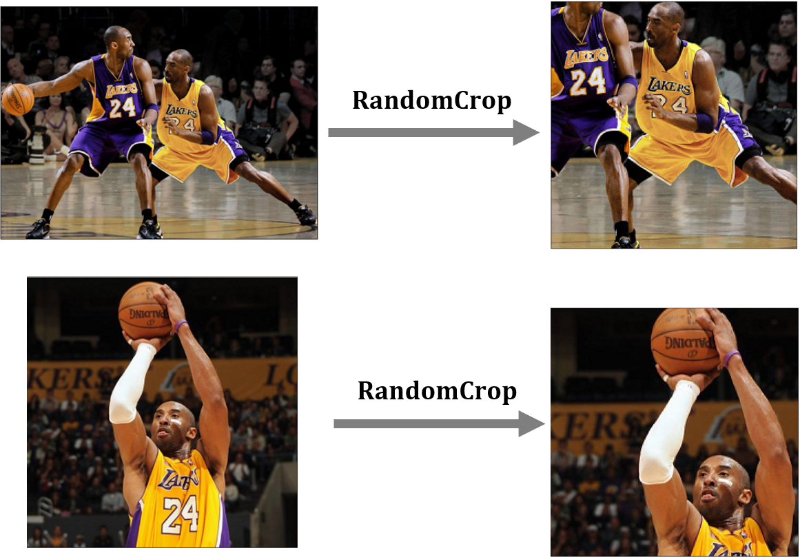 pytorch中的transforms介绍_torch transform-CSDN博客