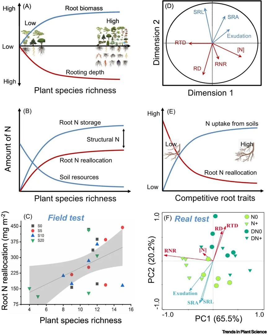 韩兴国/姜勇团队在《Trends in Plant Science》发表植物根系氮素再分配的观点文章！_河北大学韩兴国-CSDN博客