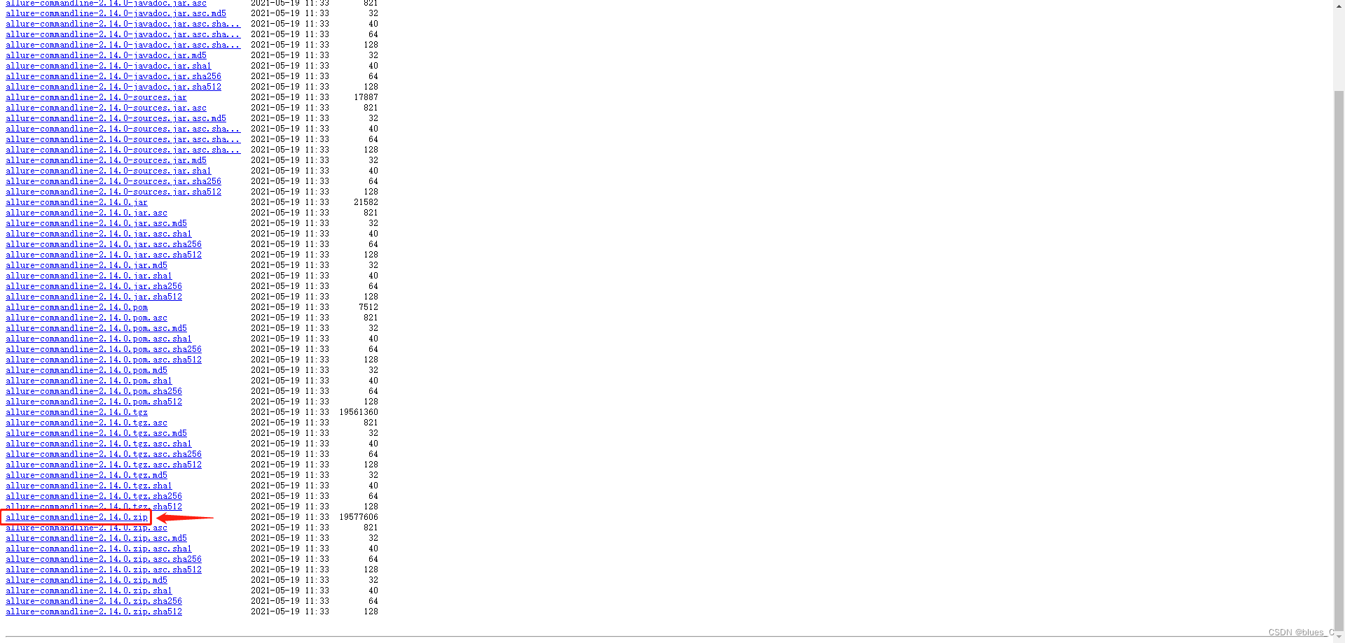 Allure 的安装与使用_python allure安装-CSDN博客