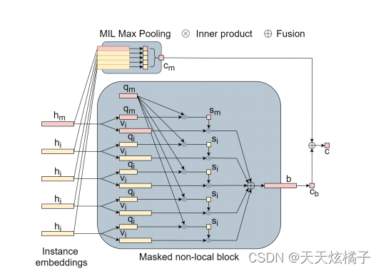 Dsmil论文代码复现，dual Stream Multiple Instance Learning Network For Whole Slide Image Classification