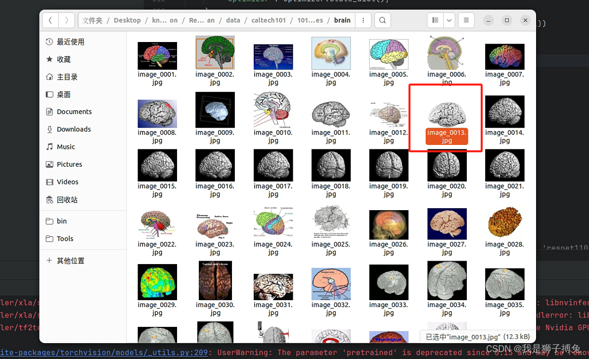 caltech数据集读取图片报错RuntimeError: output with shape [1, 224, 224] doesn‘t match the broadcast shape ...