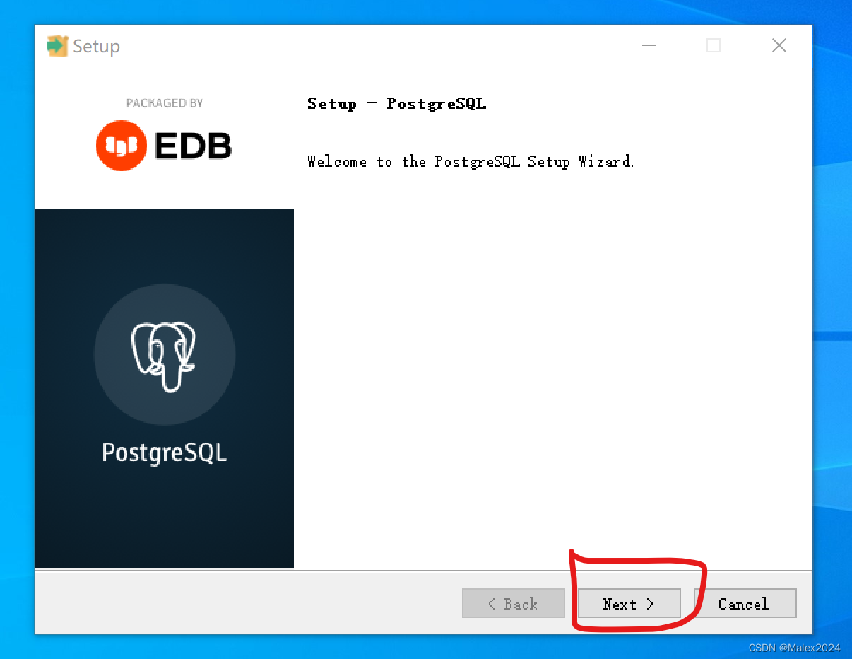 (超详细)金蝶云苍穹开发(二)：轻量级开发环境搭建之安装数据库PostgreSQL_金蝶云数据库-CSDN博客