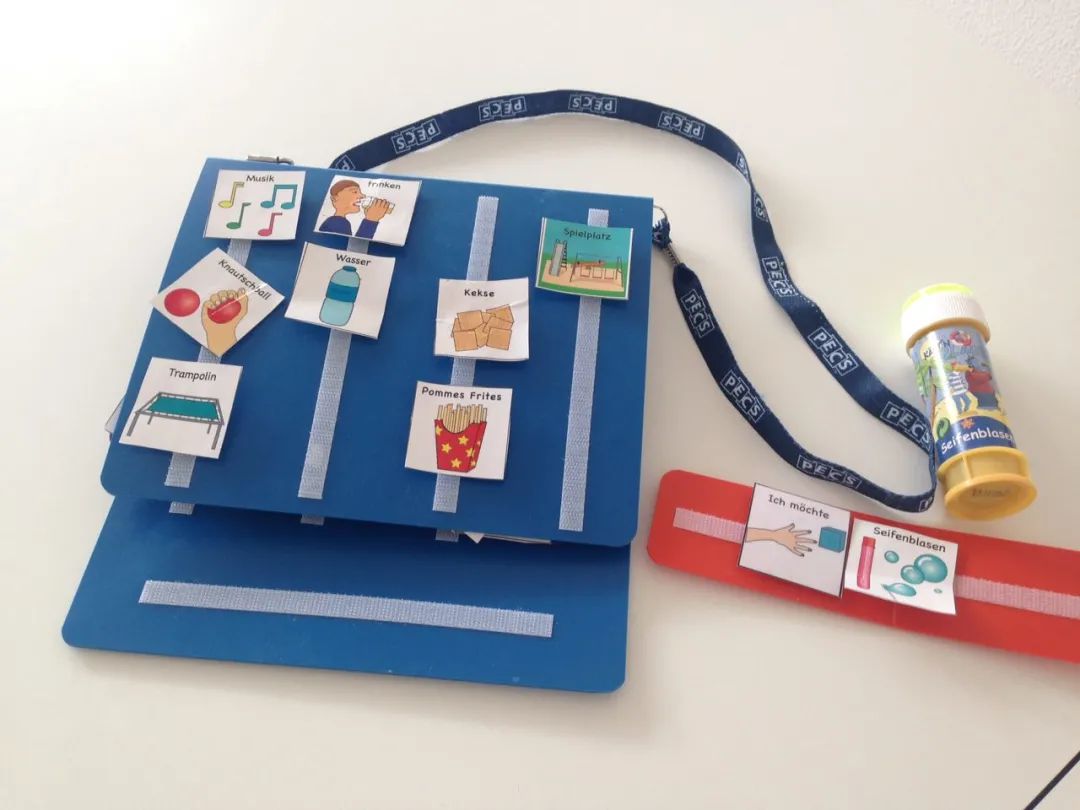 pecs_神奇的PECS是什么？看看BCaBA教师们怎么说-CSDN博客