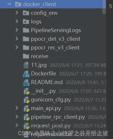 四、OCR-docker部署最新版PaddleServing和PaddleOCR，服务端，客户端，dockerfile部署-pipeline python部署，GPU运行_docker ...