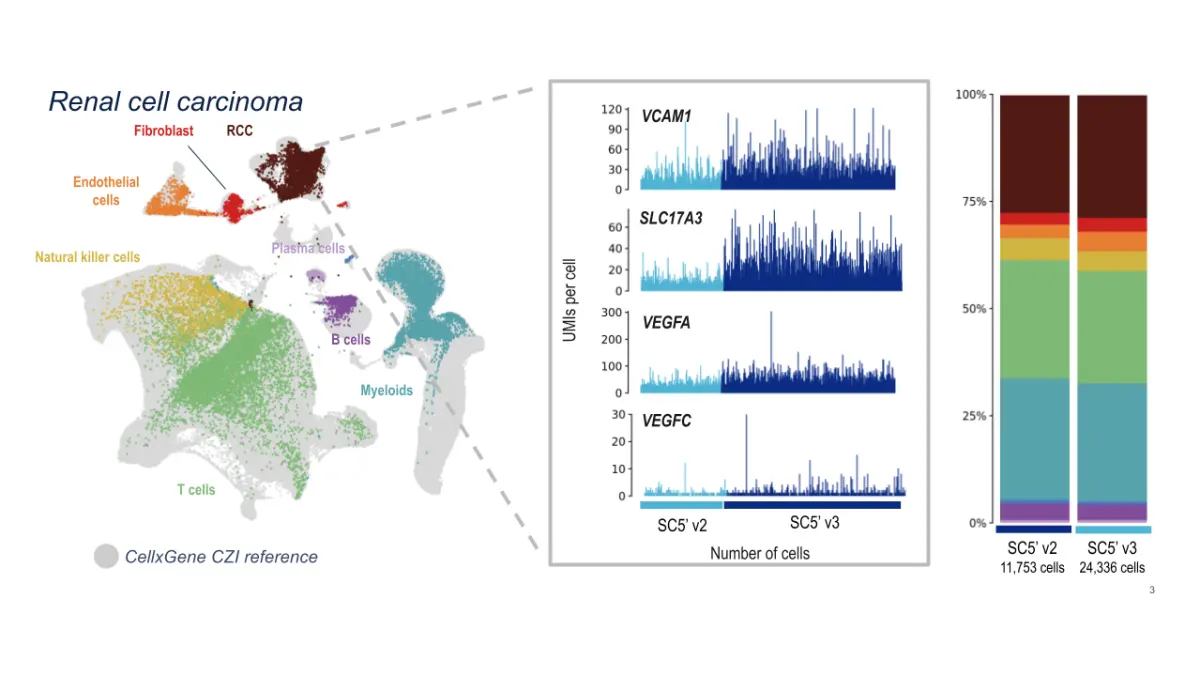 The neXt generation of single cell RNA-seq（GEM-X）_chromium next gem cell-CSDN博客
