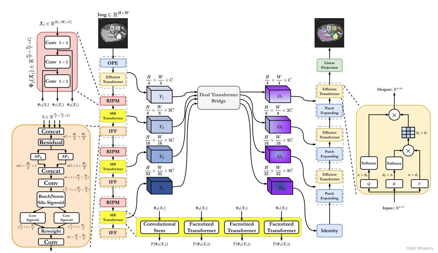 论文笔记Enhancing Medical Image Segmentation with TransCeption: A Multi-Scale Feature Fusion ...