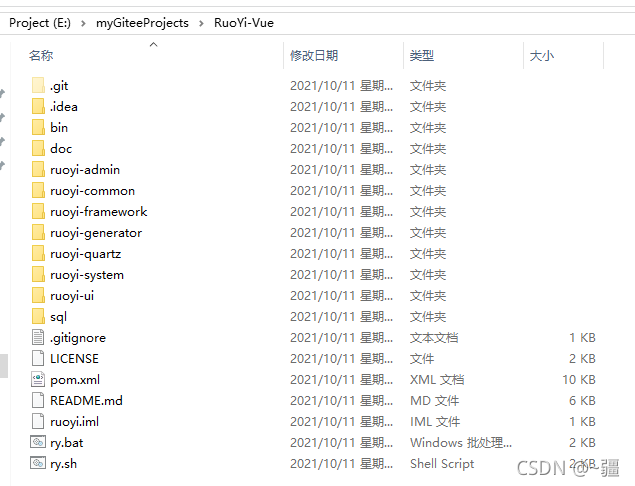 idea中部署若依RuoYi-Vue_idea ruoyi-vue-pulsssh连接-CSDN博客