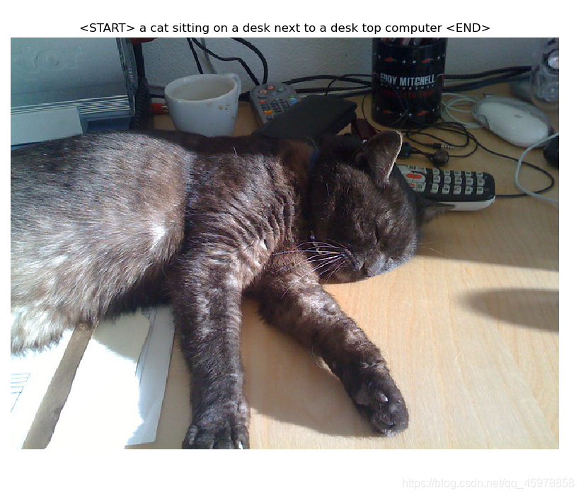 CS231n-assignment3-Image Captioning with RNNs_image captioning using rnn-CSDN博客