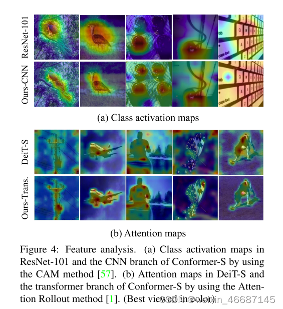 Conformer: Local Features Coupling Global Representations for Visual Recognition-CSDN博客