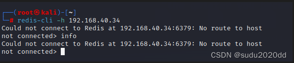 SSRF——手把手教你Redis反弹Shell-CSDN博客