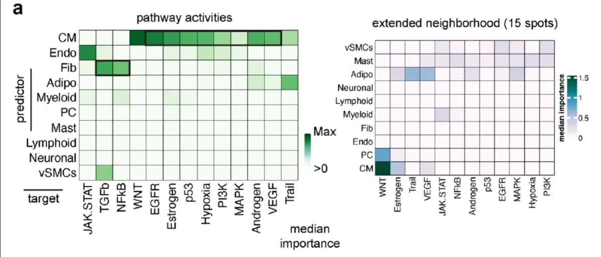 空间转录组niche通路富集与空间“hotspot”-CSDN博客