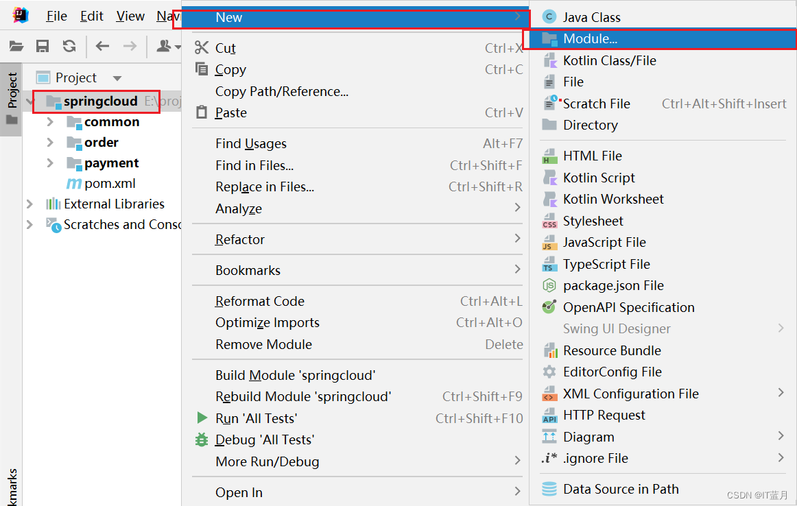 Java第四十六天，SpringCloud框架系列（八），Eureka_java eurka-CSDN博客