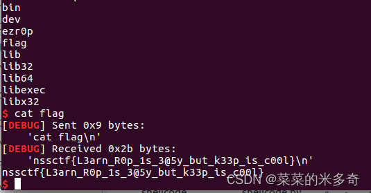 hnctf-pwn-[week1]_fmtstrre-CSDN博客
