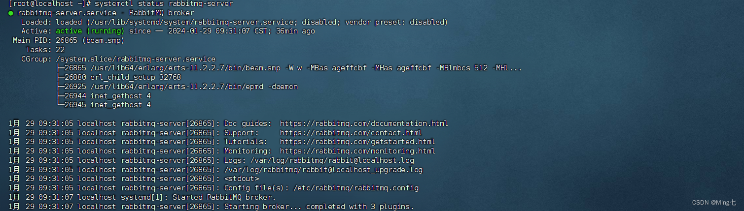 Linux安装Rabbitmq详细教程_linux7 安装rabbitmq-CSDN博客