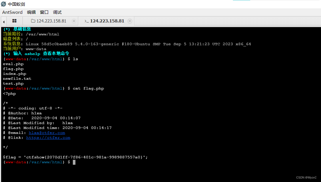 Ctfshow Web入门 命令执行（web29）五种解法绕过文件名检测ctfshow Web29 Csdn博客