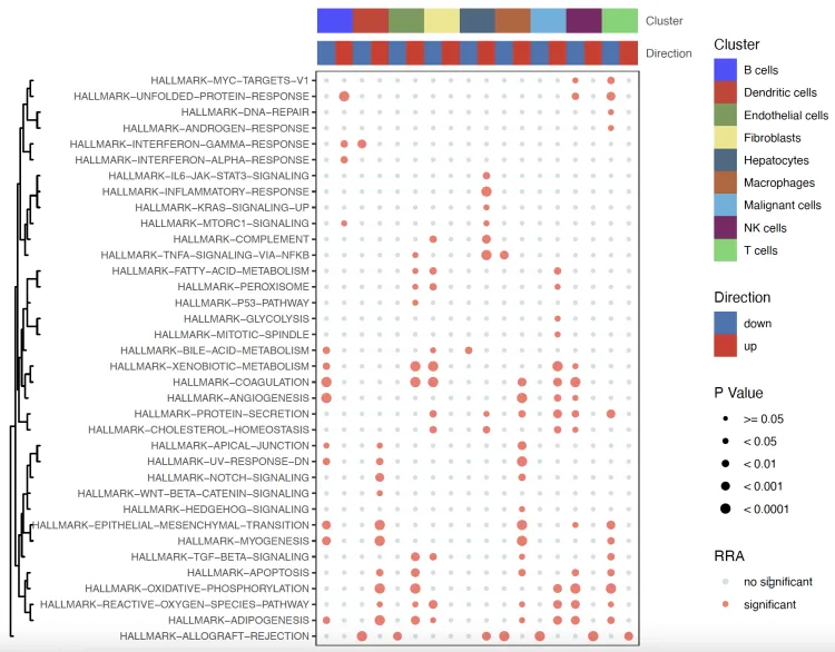 单细胞irGSEA分析:整合多种富集分析方式的R包-CSDN博客